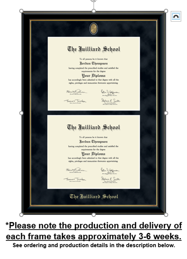 Diploma Frame: Juilliard Double Diploma Onyx Gold Black Suede (431697 ...